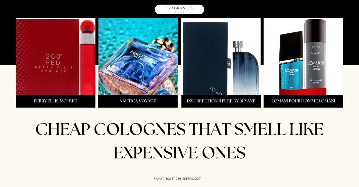 What are the Best Cheap Colognes that Smell Expensive ...